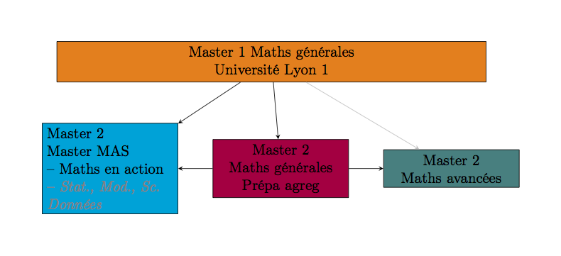Master 1 – Master Mathématiques et Applications